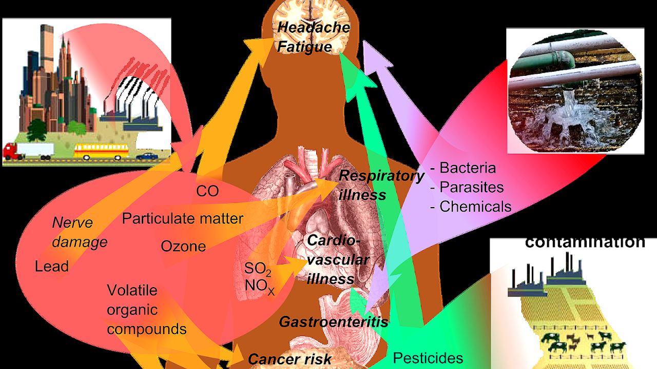Effects Of Air Pollution On The Environment Effect Choices effects-of-air-pollution-on-the-environment-effect-choices