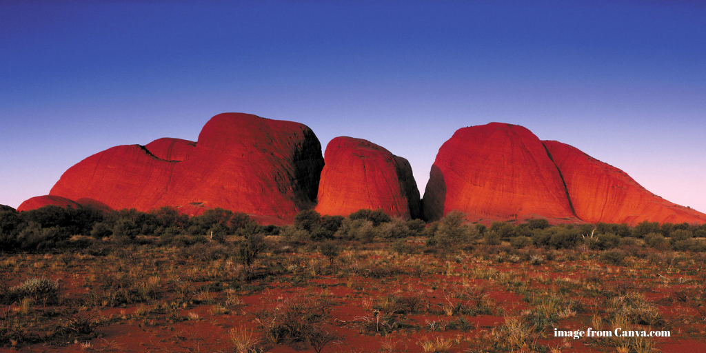 A Mom's Quest to Teach: Learn about Australian Animals on a Summer ...