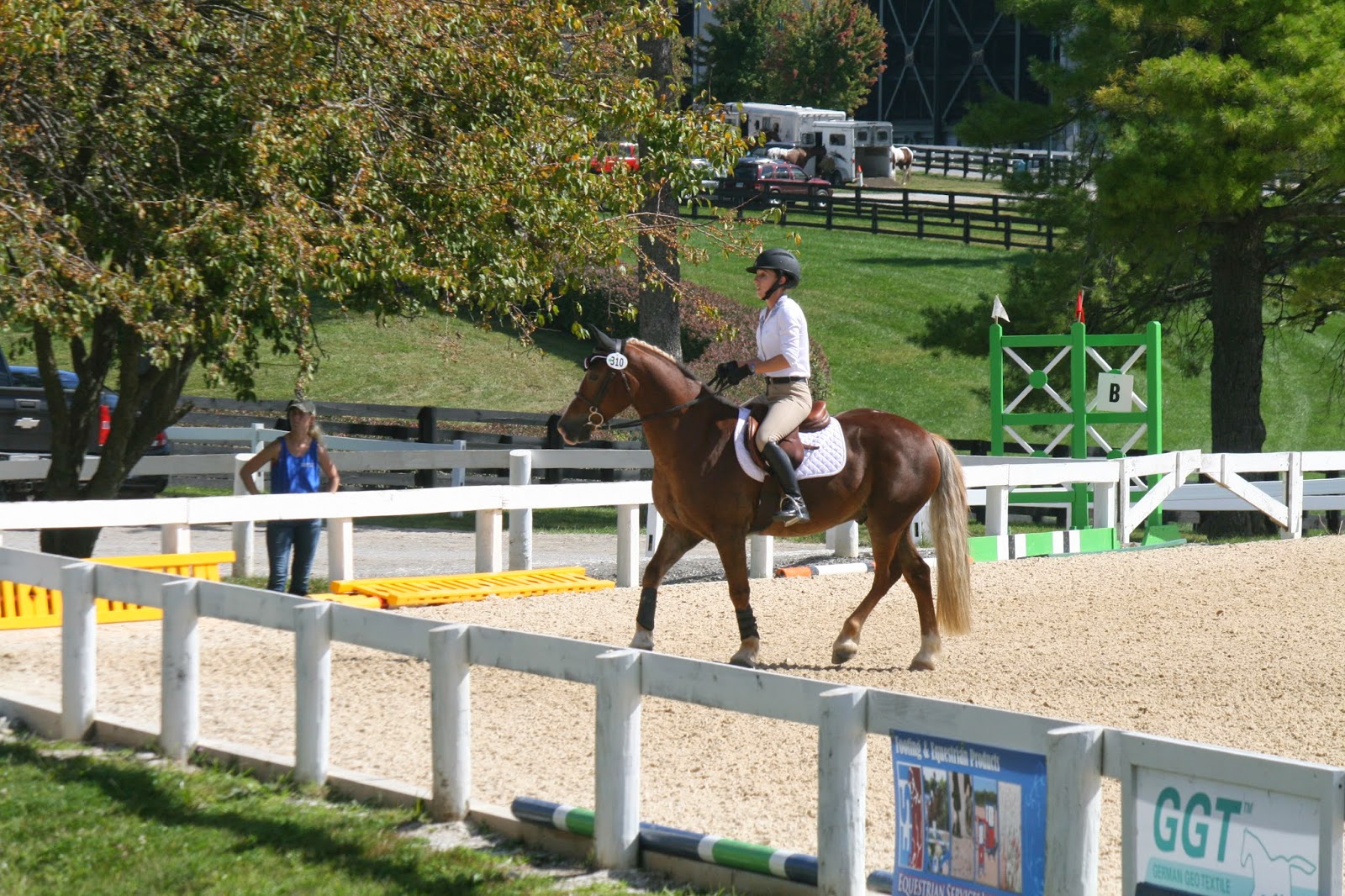 Cob Jockey: Jump Start HT: Show Jumping