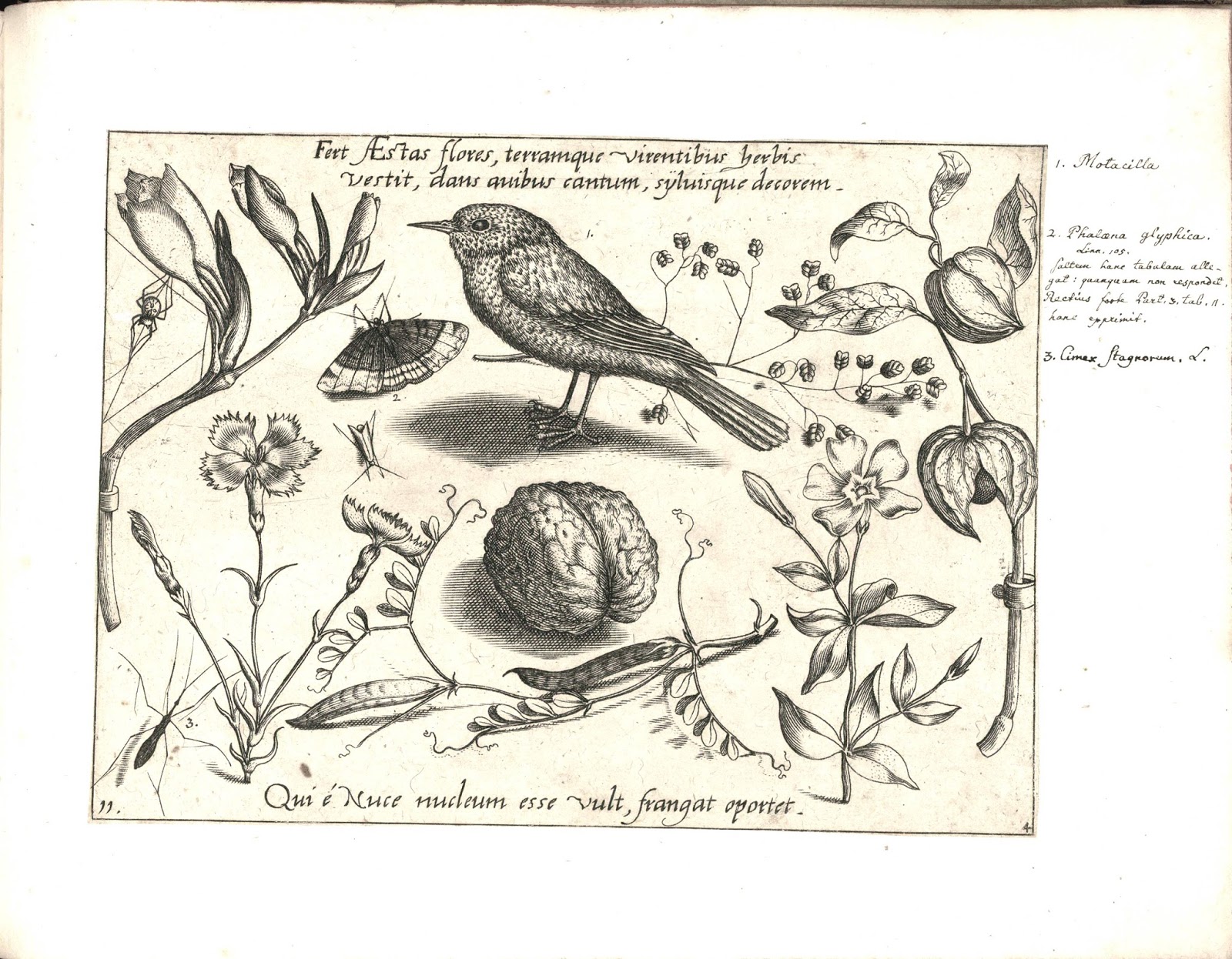 Material World: The Elizabethans: Most Gorgeously Apparelled