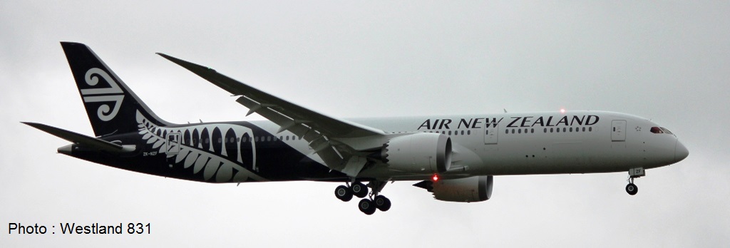 3rd Level New Zealand: NZF enters Service