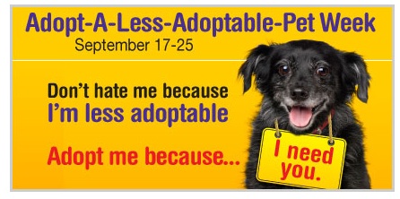 Doggie News * Psí Noviny by Sandy Shepherd: Less Adoptable Pets