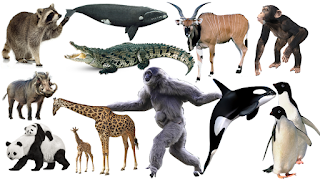 Learning Animals Name and Sounds, Animals Video for Kids SUPER SIMPLE ...