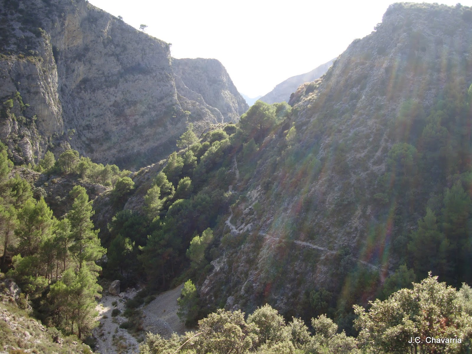 GPS Malaga: Circular Cueva de Nerja, Almendron, Barranco de los ...