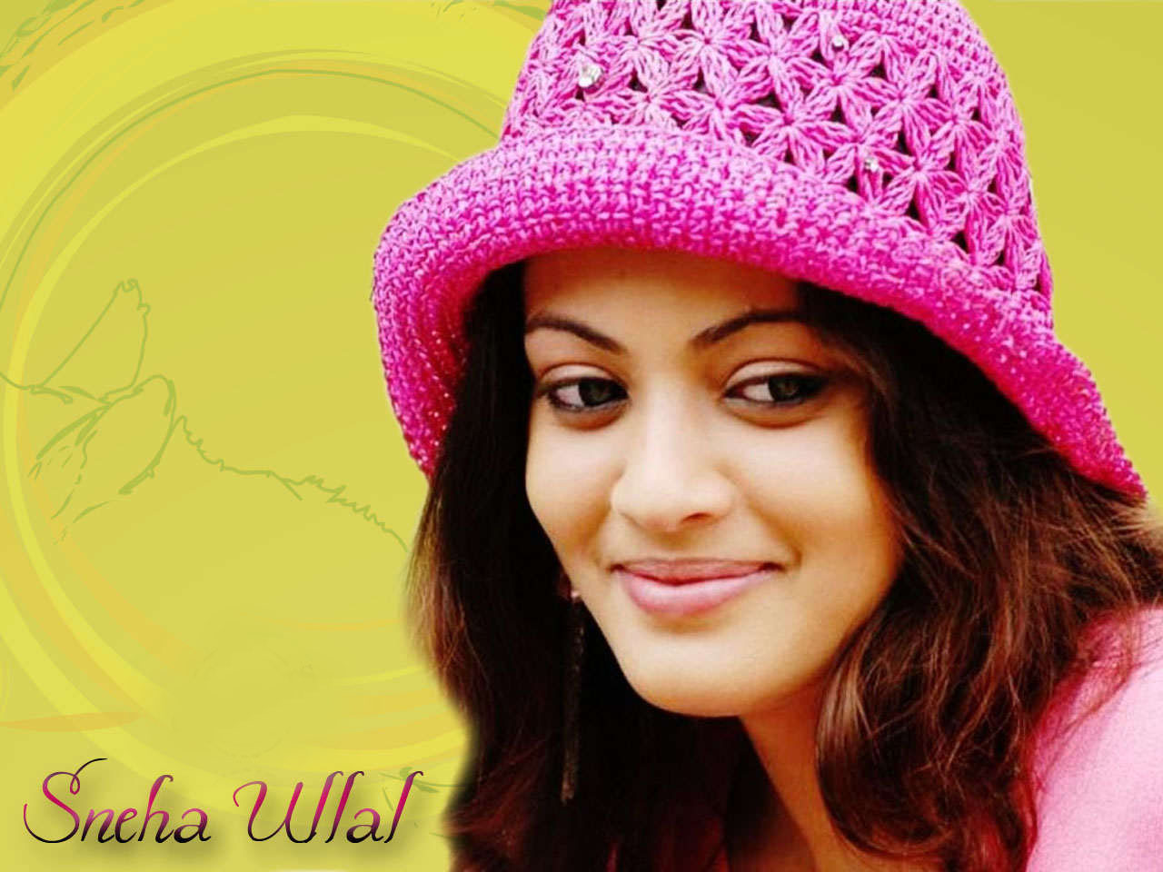 sneha ullal hd wallpapers | full hd Wallpapers