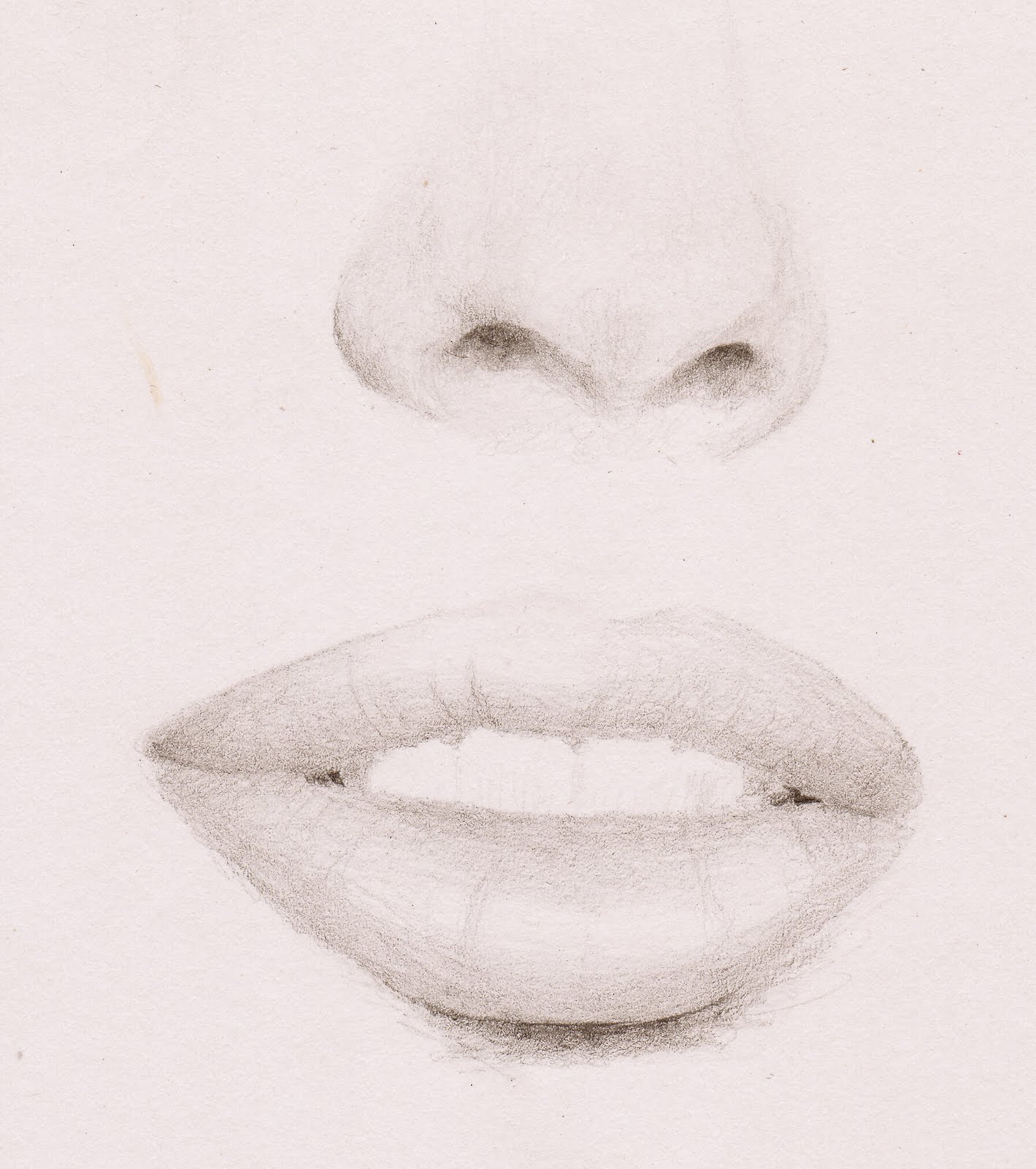 David Sarallo Gallery: Pencil Lips