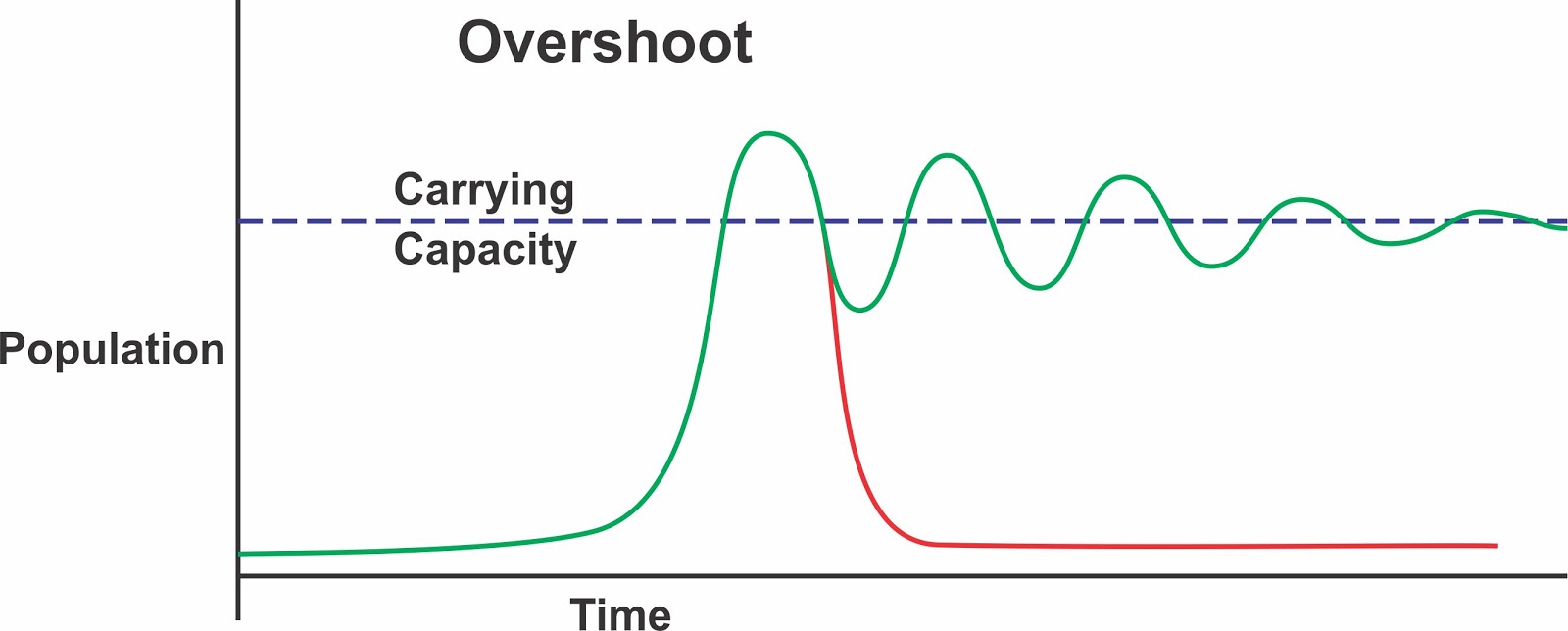 The Easiest Person to Fool