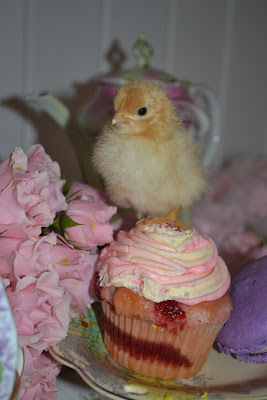 French Blue and Peachy Pink: A Chicken Goes To A Tea Party.....My ...