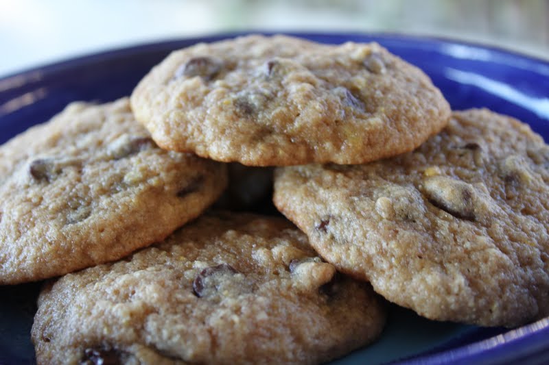 The Pioneer Cookbook: Squash Cookies
