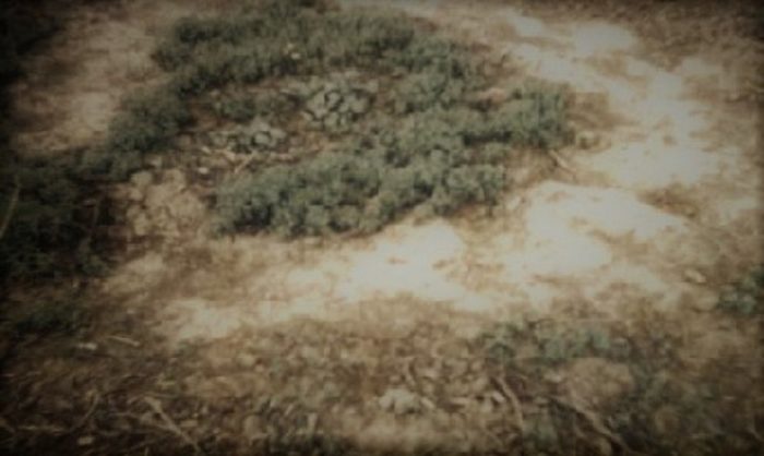 Orbita Cero: Mendoza, Argentina: El anillo de Delphos y casos extraños ...