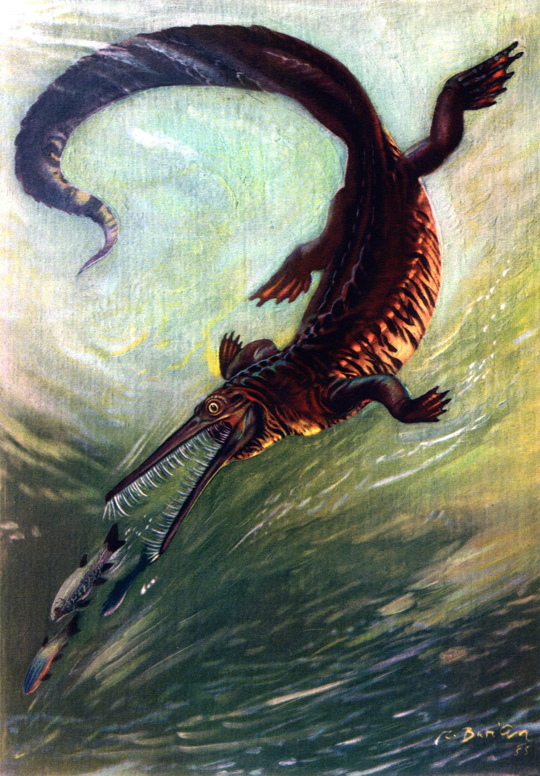 Zdeněk Burian: Mesosaurus