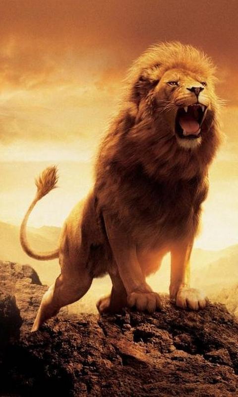 Ezekiel's Vision Part 2 - The Lion - Pastor Darryl Stott