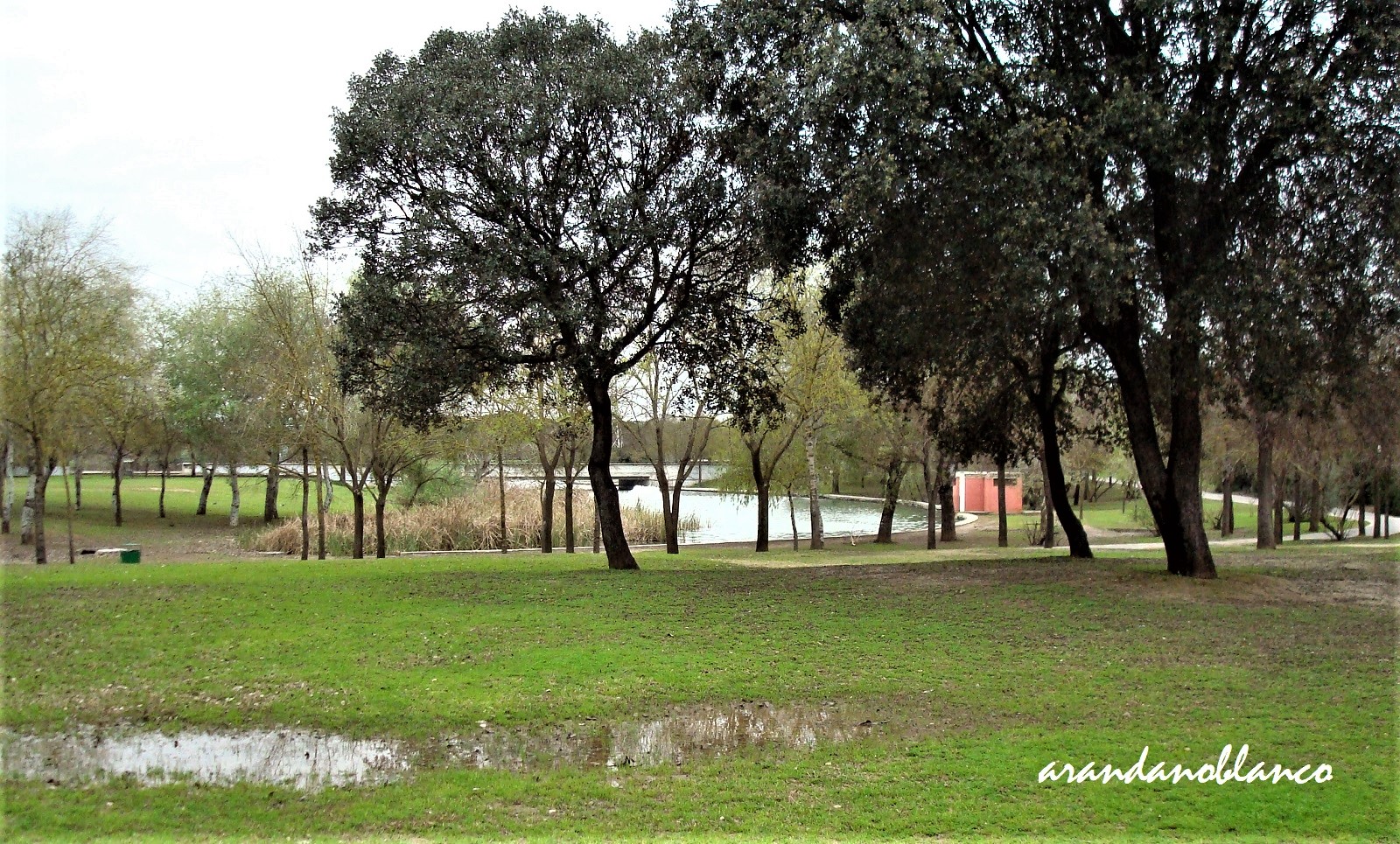 parquealamillo-encinarosa: El Parque del Alamillo renueva su ...