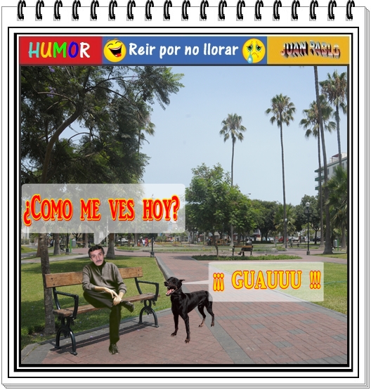 COSAS DE LOCO: Humor. Reír por no llorar... ¿Como me ves hoy? ¡¡¡GUAUUU!!! COSAS DE LOCO: Humor. Reír por no llorar... ¿Como me ves hoy? ¡¡¡GUAUUU!!!