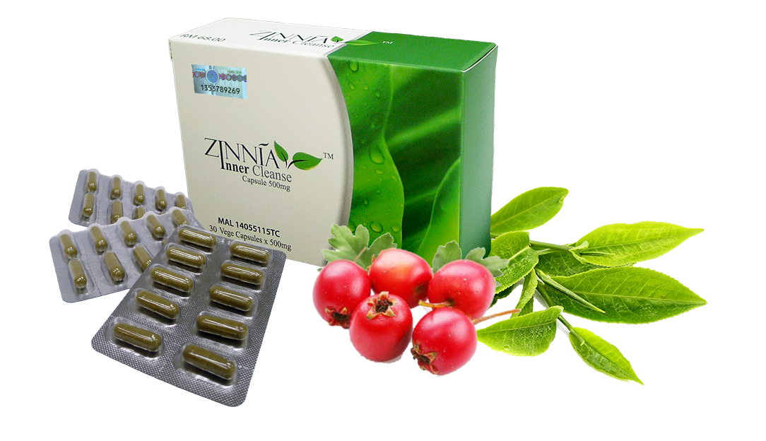 ZINNIA INNER CLEANSE DETOX