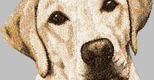 Unusual embroidery designs: Yellow Labrador Embroidery Design
