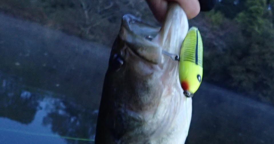 Chug-Chug! Rush, At Ease!: One-hour fishing