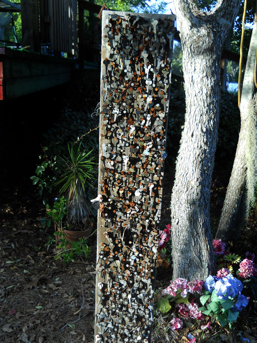 Cochino Lodge Weddings: Cochino Lodge hosts Slemmons and Cole Wedding ...