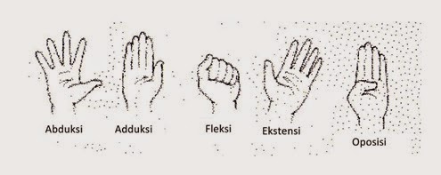 lupita pardosi: Gerakan ROM (Range Of Motion) , Nursing :)