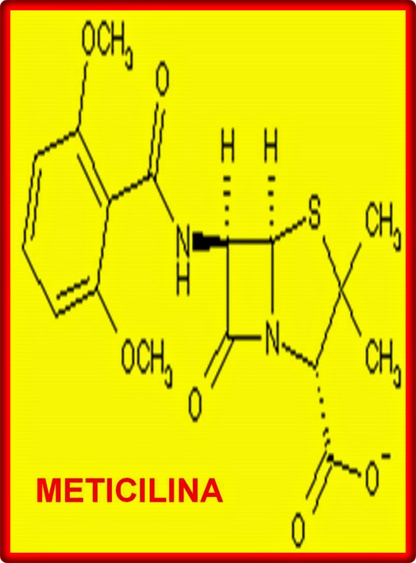 FARMÁCIA BRASILEIRA: ANTI-INFECTANTES ANTIBACTERIANOS - PENICILINAS