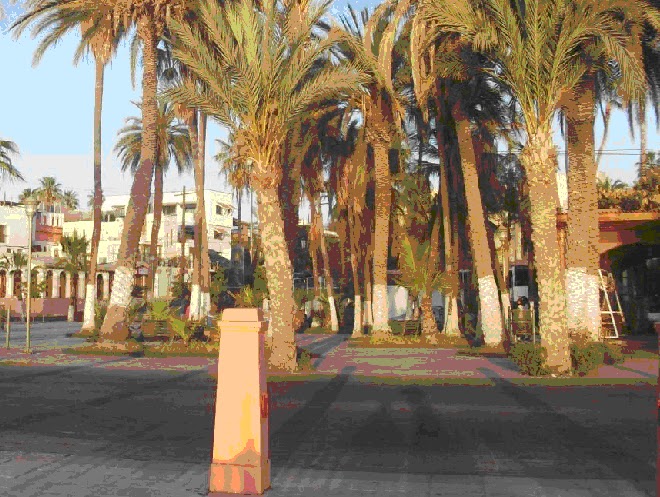 MI LECHO NO ES DE ROSAS!!