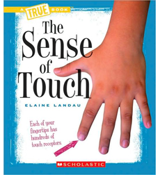 Kindergarten: Holding Hands and Sticking Together: The Five Senses: The ...