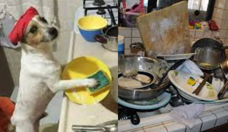 Paghuhugas ng plato, nakababawas ng stress ayon sa pag-aaral - The ...