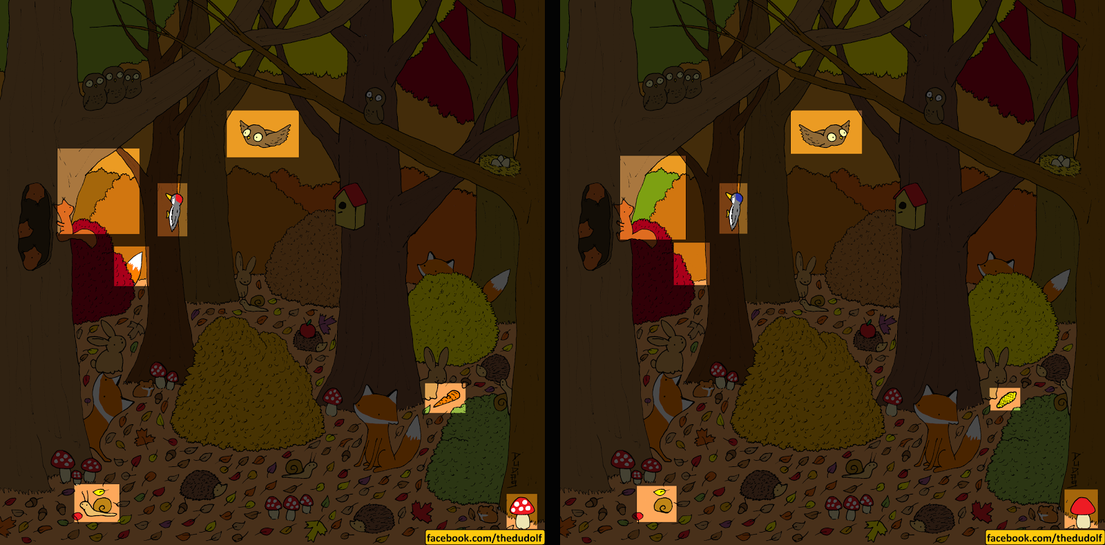 Can you spot 7 differences between these two pictures? - SOLUTION