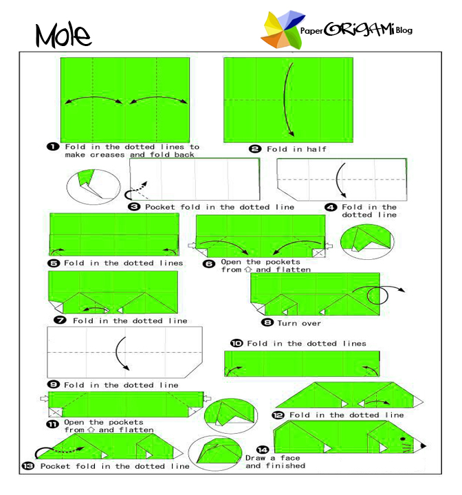 Animals Origami: Mole | Paper Origami Guide