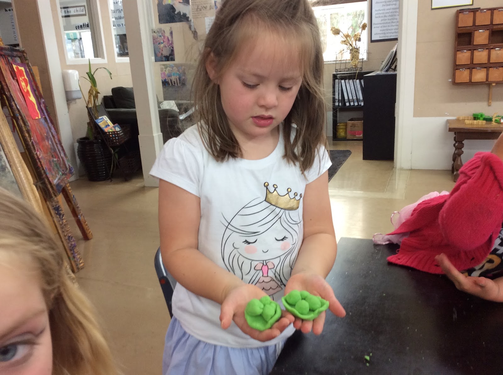 Bream Bay Kindergarten: What is a "Provocation"