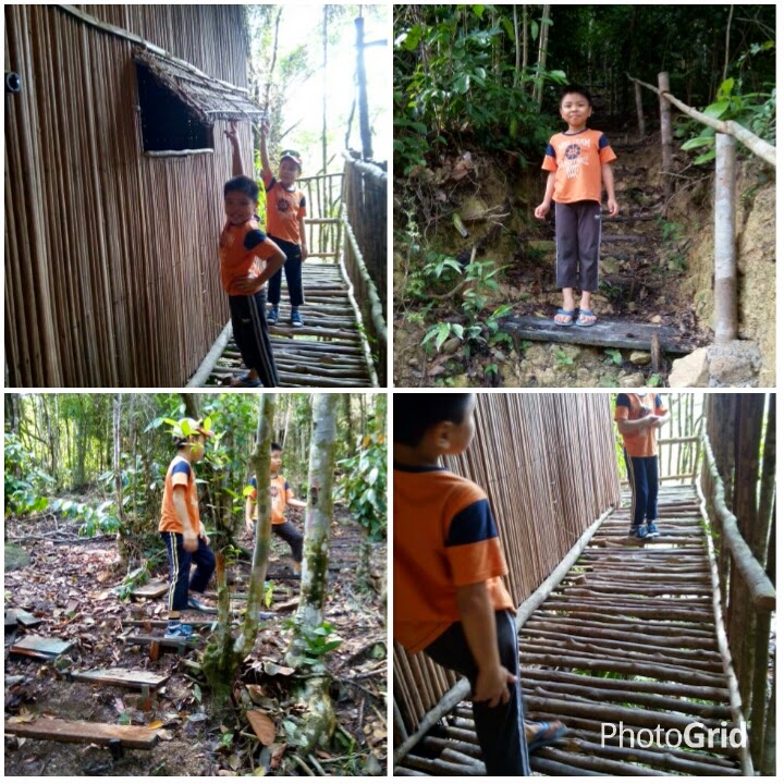 靓师奶: Gunung Pulai~树屋/Tree House /Rumah atas pokok