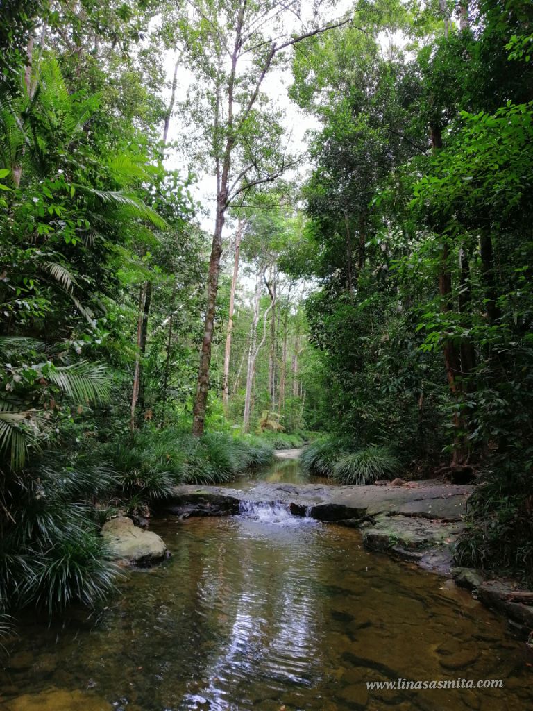 Trekking ke Telaga Bidadari Muka Kuning Batam - Kisah, Ulasan, dan ...