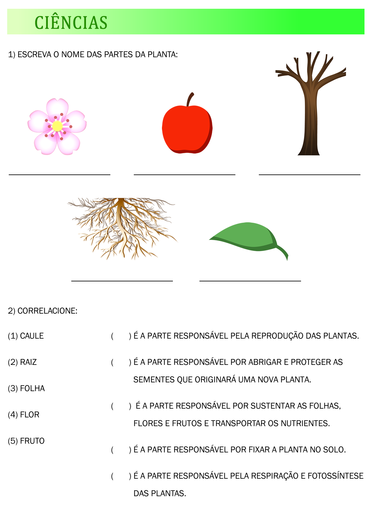 Atividade Interativa Partes De Uma Planta Partes Da P - vrogue.co Atividade Interativa Partes De Uma Planta Partes Da P - vrogue.co