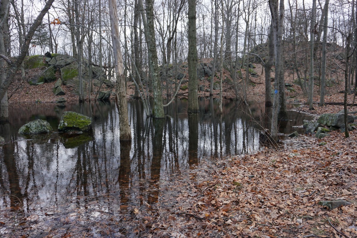 Harriman Hiker: Harriman State Park and Beyond: Blue Mountain ...