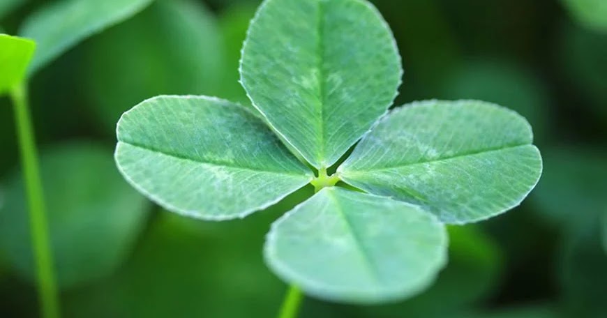 O que é SORTE para você? Conheça nossa definição de SORTE