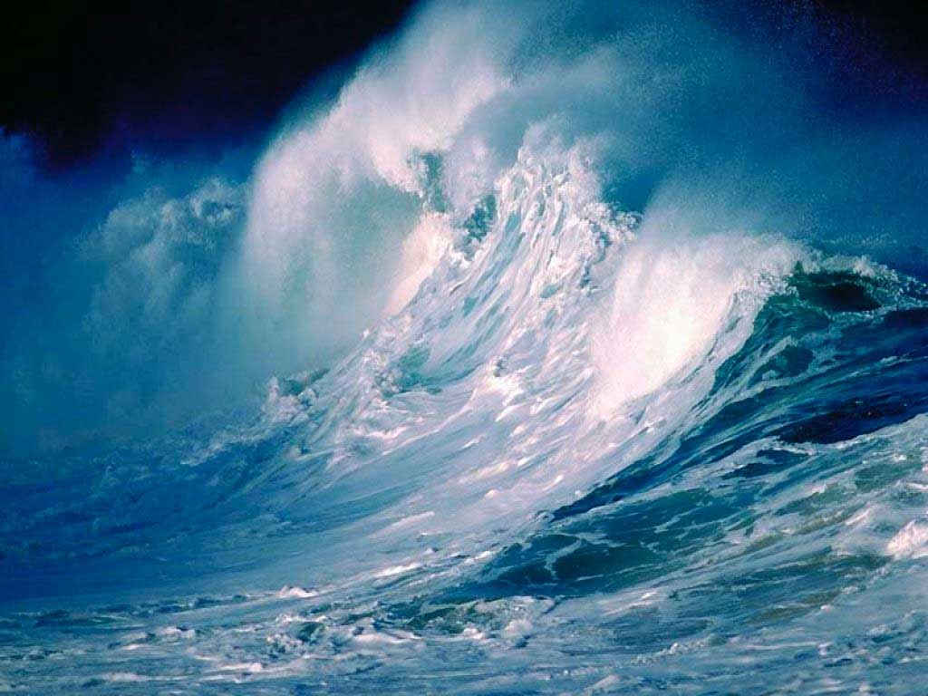 IMAGENES ETHEL: imagen de mar con delfines, olas muy altas y mares con ...