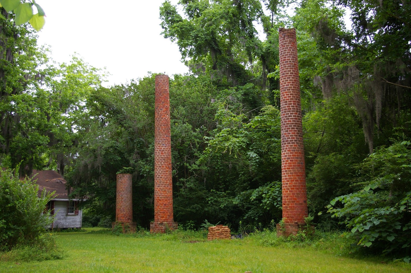 The ruins of Crocheron Mansion in Cahawba, Alabama's first permanent ...