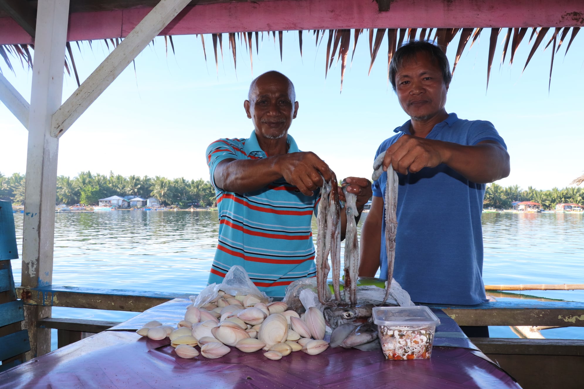 Baganga’s Mangrove Forest restored: A National Greening Program (NGP ...