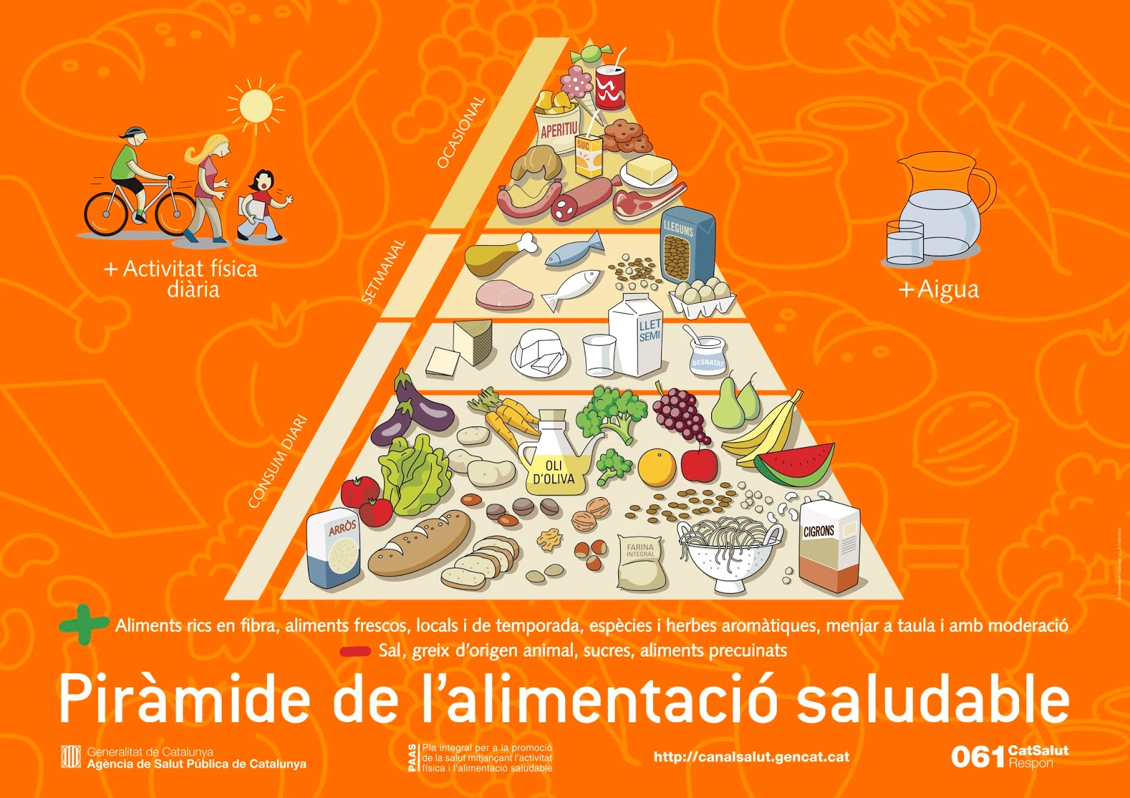 De la pirámide alimentaria al plato saludable