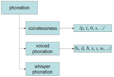 Kraut's English phonetic blog: phonetic scheme - phonation