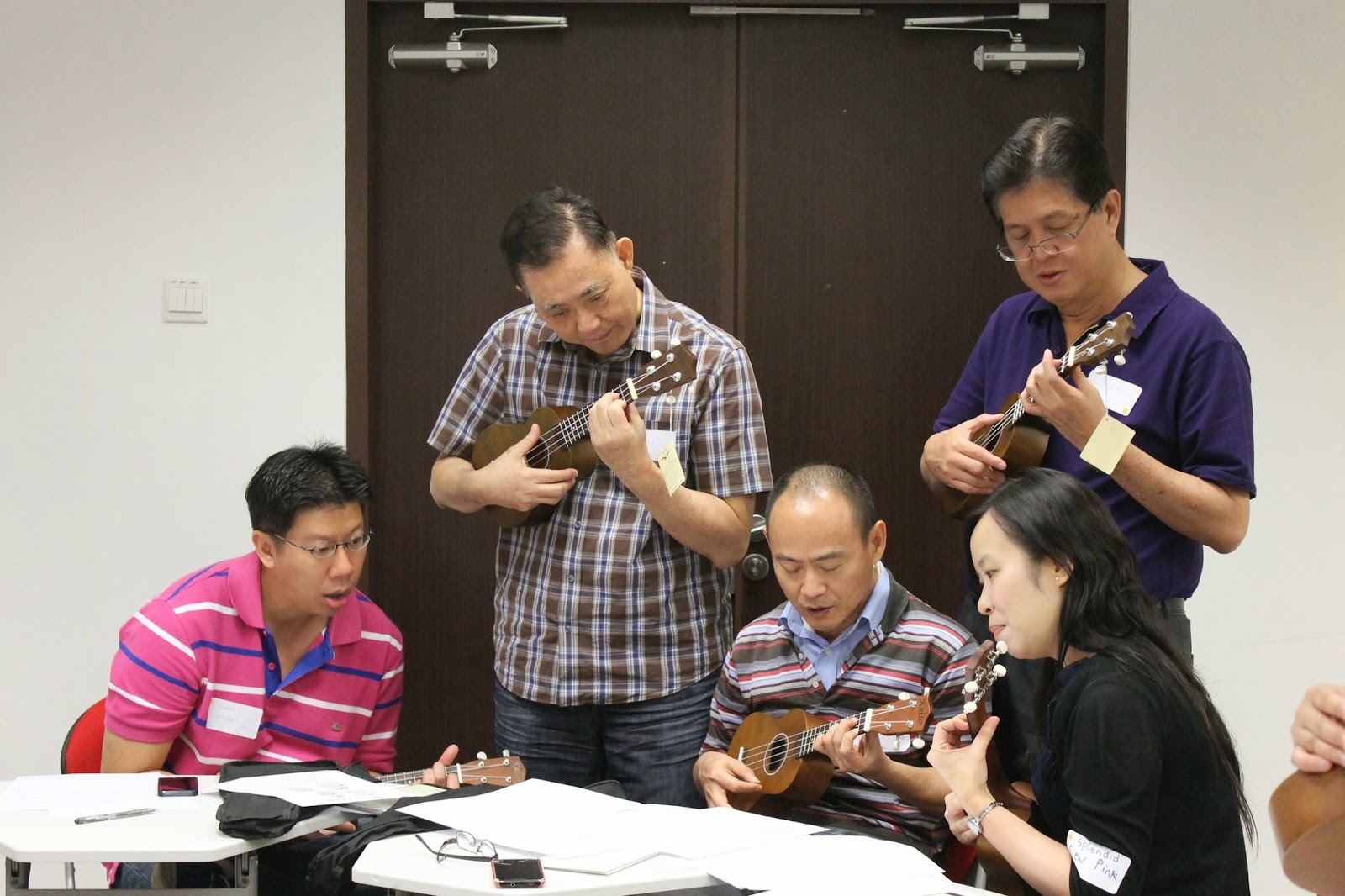 Ukulele, iPad Garageband, Songwriting and Other Music Workshops for MOE ...