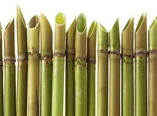 √ Sejarah Bambu Runcing, Senjata Andalan Indonesia dalam melawan para ...