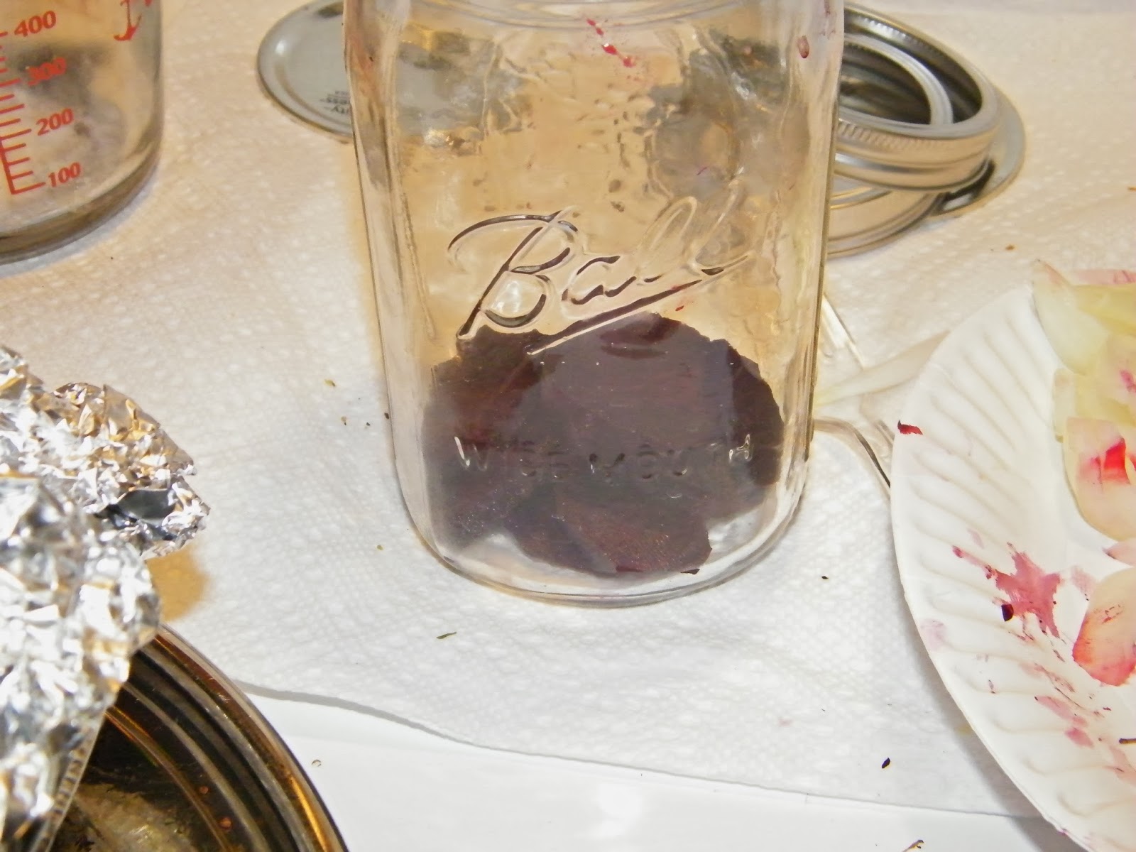 Veronica the Lazy Diva's Quasi-Crafty Blog: Curses Alton Brown... your ...