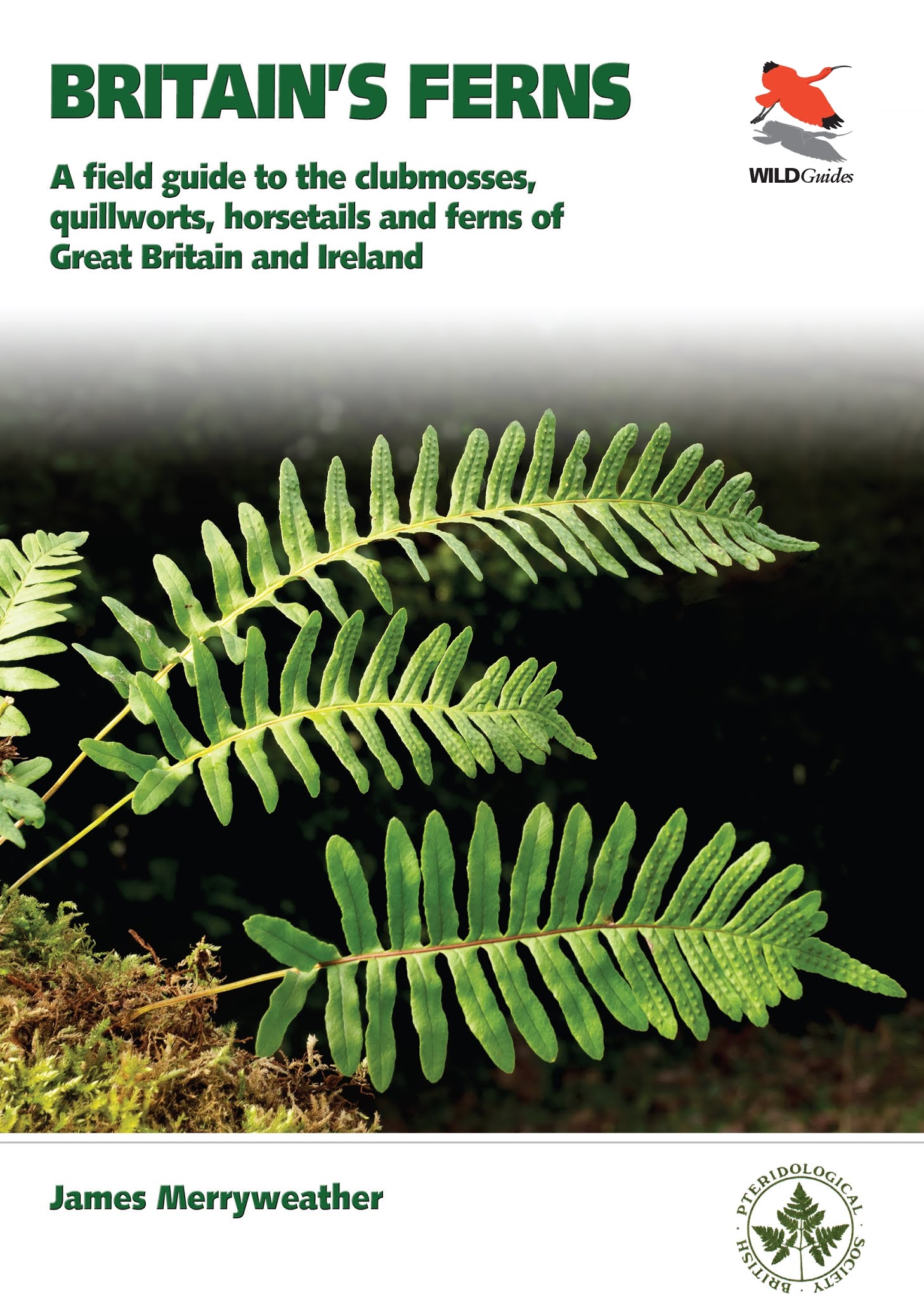 The Curious Naturalist: Britain's Ferns: A field guide to the ...
