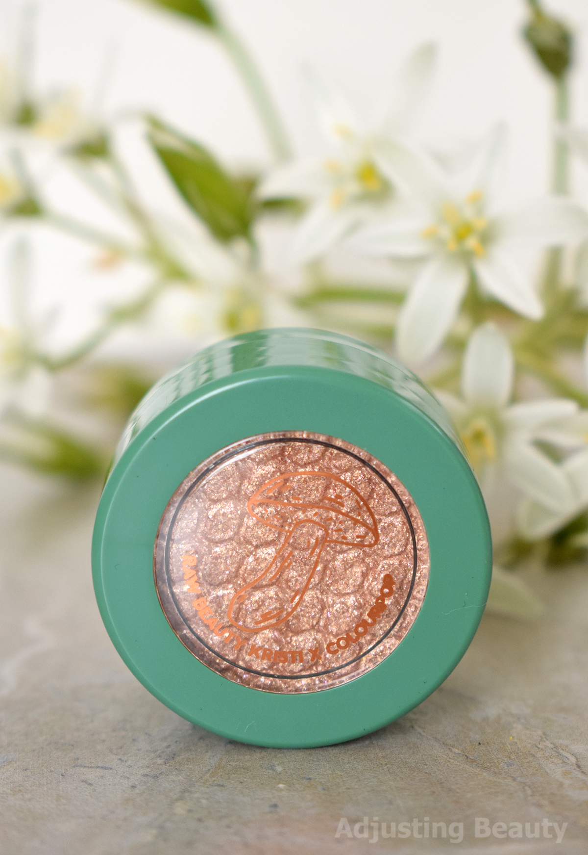 Review: Colourpop Super Shock Shadow - Ritz and Mycelium - Adjusting Beauty