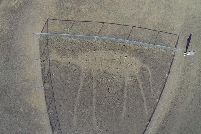 A MAGYAROK TUDÁSA: A NAZCA VONALAK