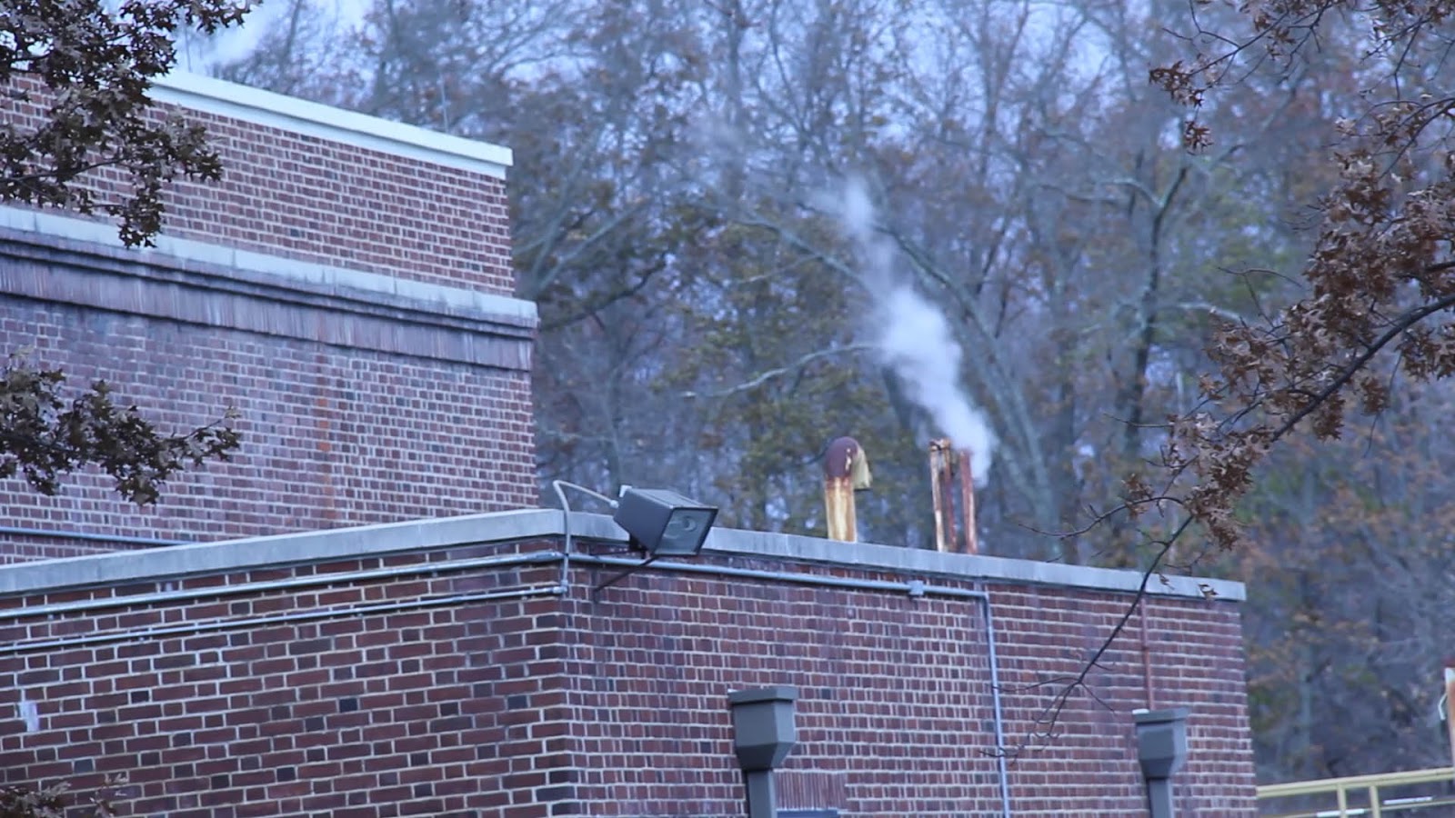 IMM 110-01 Fall 2018 (Matthew)