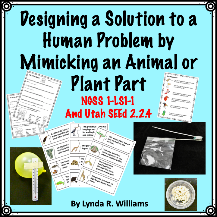 Designing a Solution to a Human Problem: Biomimicry for First and ...