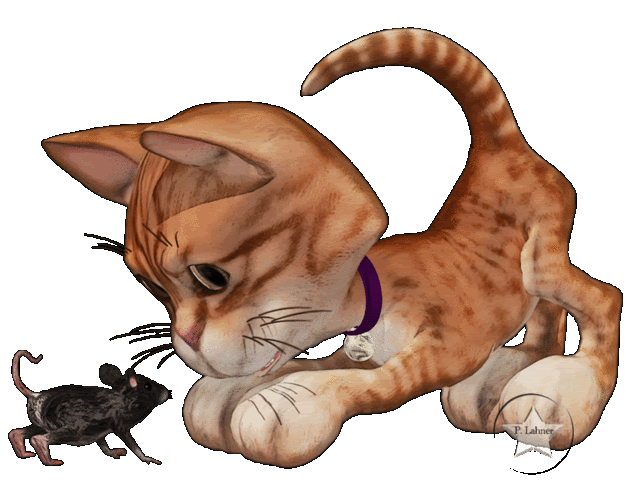 Cat Chasing Mouse Gif
