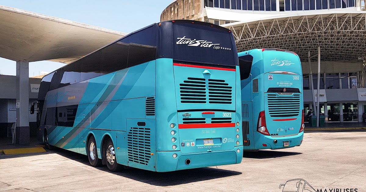 MAXIBUSES: TURISTAR LUJO